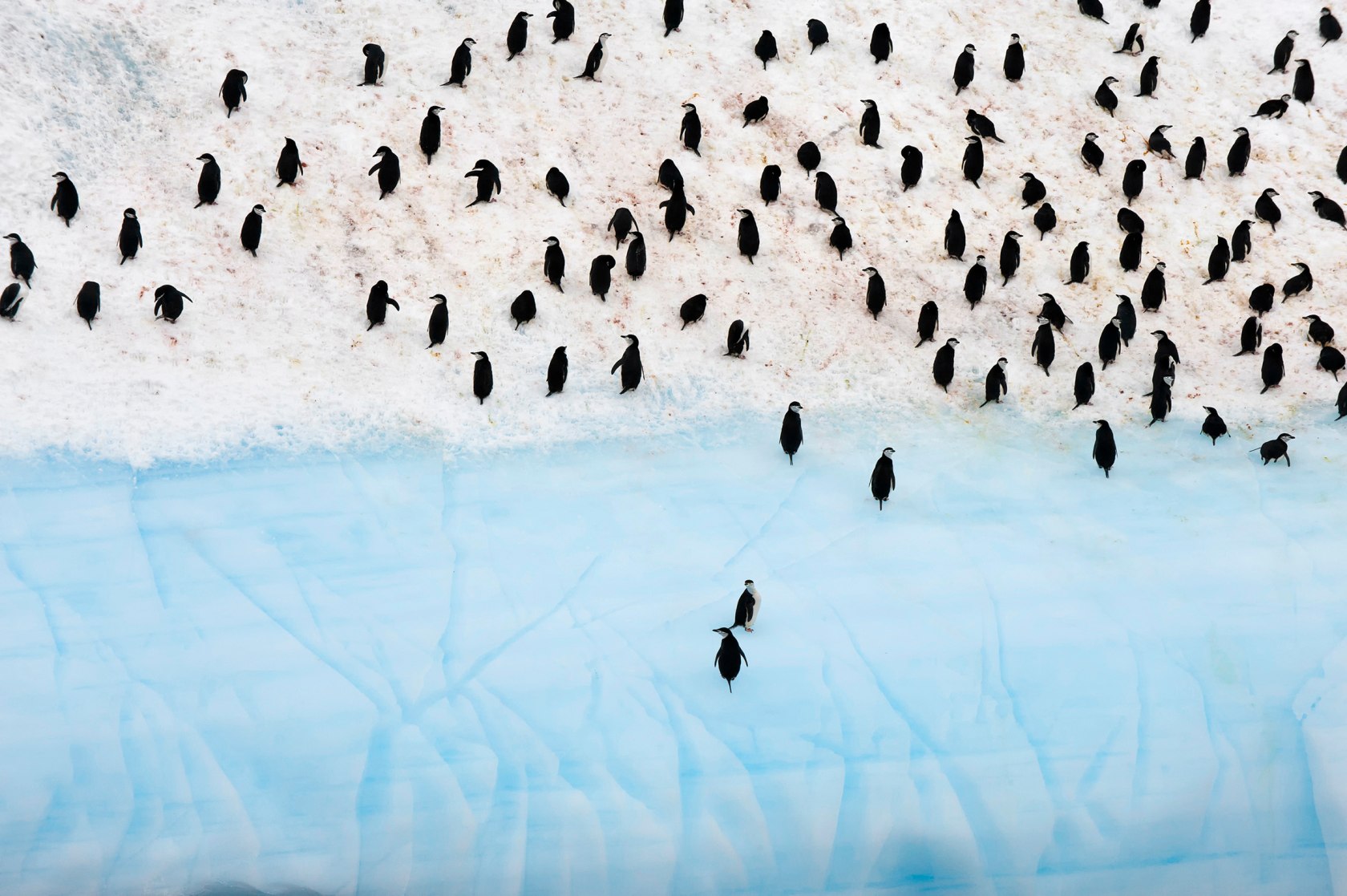 eFront Insight Sustainability | eFront